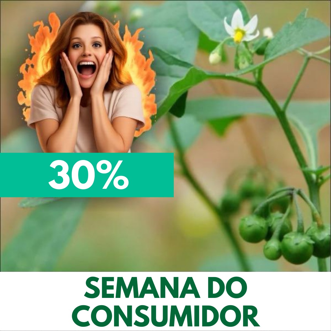 Erva-moura / Maria-pretinha - Solanum americanum / Solanum nigrum ...